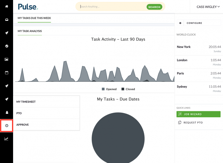 I can't see Timesheets in the navigation - Pulse