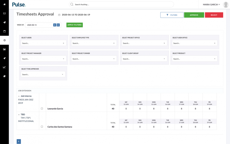 Timesheet Approval - Pulse Project Management Software