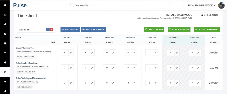 Time Entry - Pulse Project Management Software