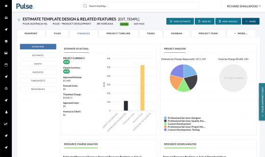 Activities - Manual Setup - Pulse Project Management Software