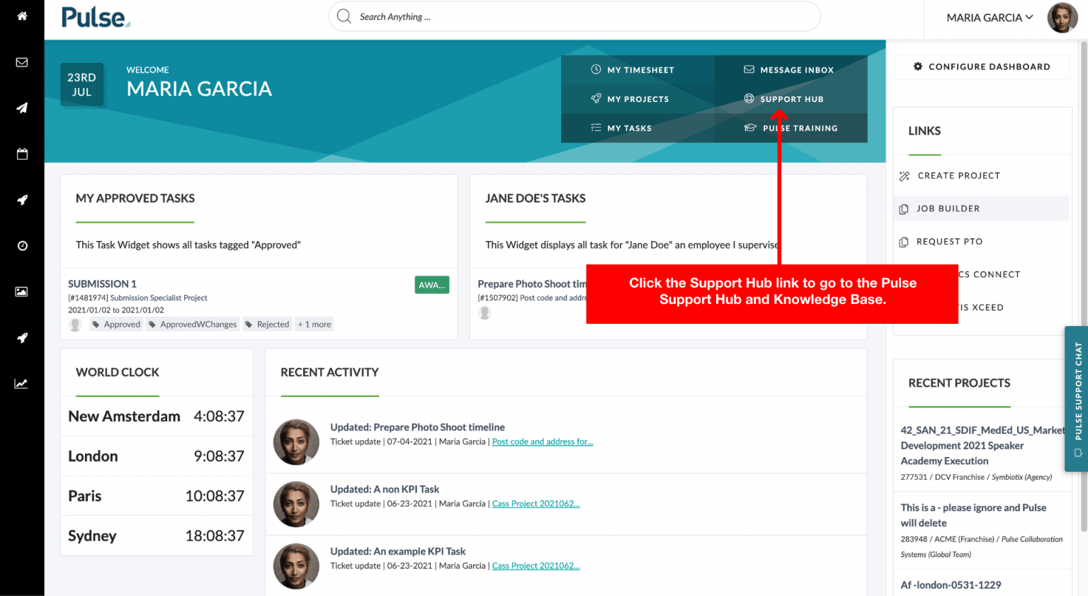 Training & Support - Pulse Project Management Software