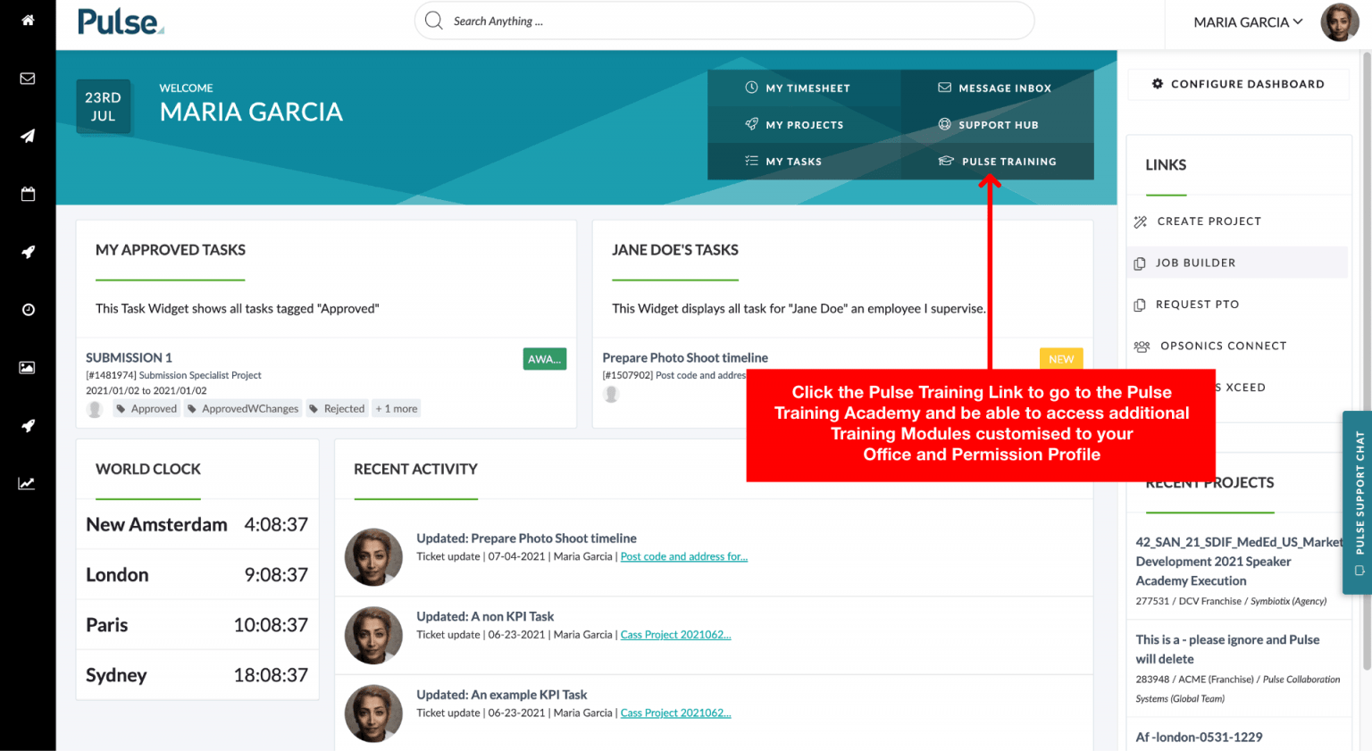 Training & Support - Pulse Project Management Software