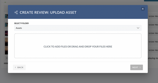 Choose Asset for Review - Pulse Project Management Software