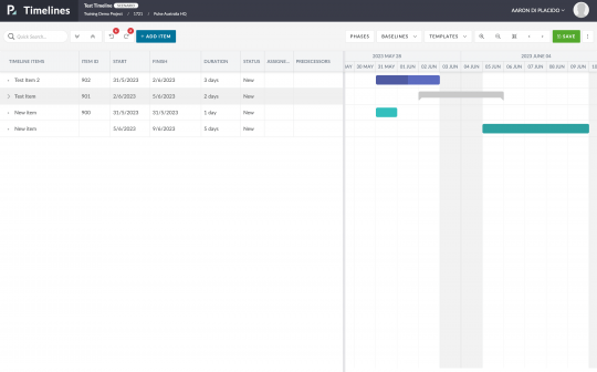 Timeline Item Table - Pulse Project Management Software