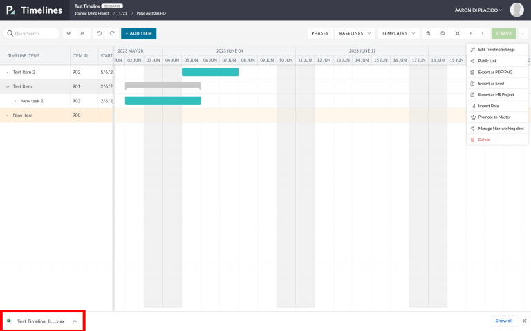 Export as Excel - Pulse Project Management Software