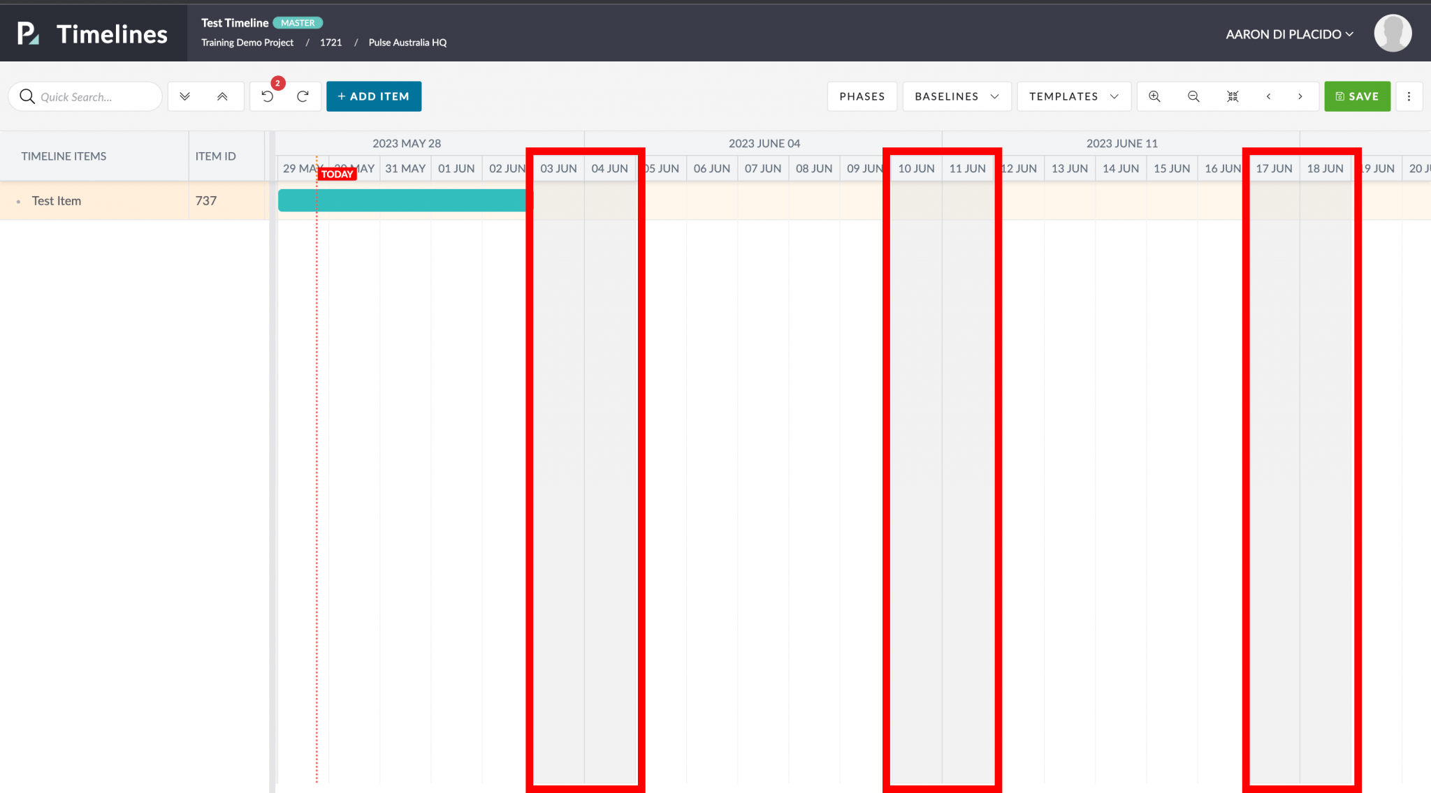 Non-Working Days - Pulse Project Management Software
